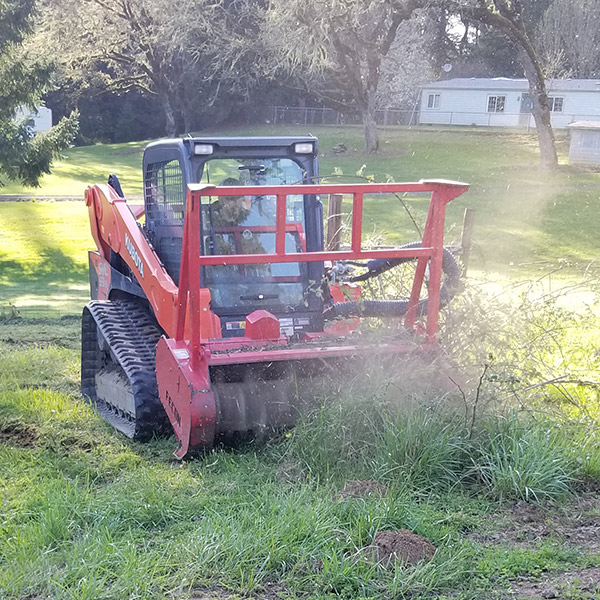 Land Clearing Service|Forest Underbrush Clearing|Storm Cleanup ...